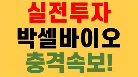 실전투자 박셀바이오 0830 충격속보 박셀바이오 박셀바이오주식전망 박셀바이오세력 Youtube