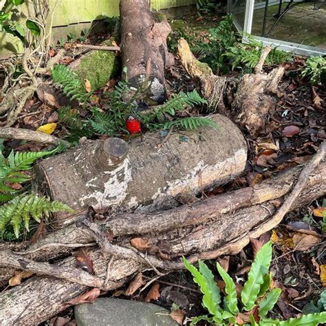 Hand Crafted Recycled Metal Robin Metal Garden Outdoor Sculpture