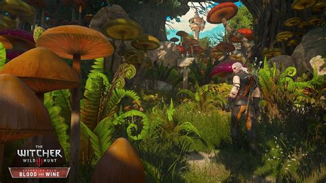 The Witcher 3 Blood And Wine Image By Cd Projekt Red 2178337