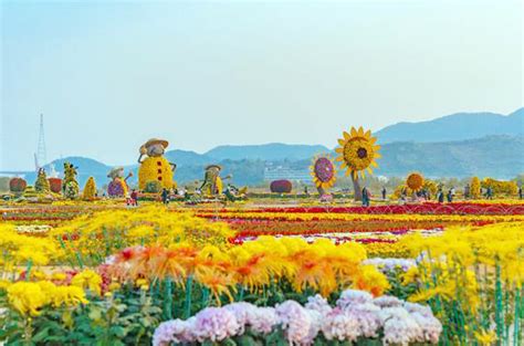 마산국화축제 명칭에 ‘가고파 부활반대운동