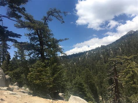 Suicide Rock Trail Mt San Jacinto State Park Hiked It Liked It
