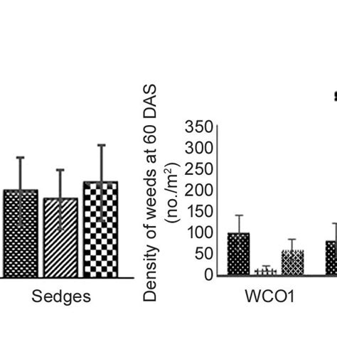 Effect Of Sowing Methods A And Weed Control Options B On Weed