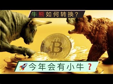 比特币的牛熊转换过程是怎样的比特币会在今年迎来小牛吗比特币小牛顶点在哪如何解读当年312的暴跌洗盘币圈达人BTCETH行情分析