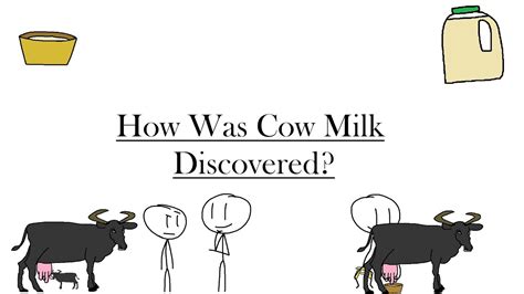 How Was Cow Milk Discovered Youtube