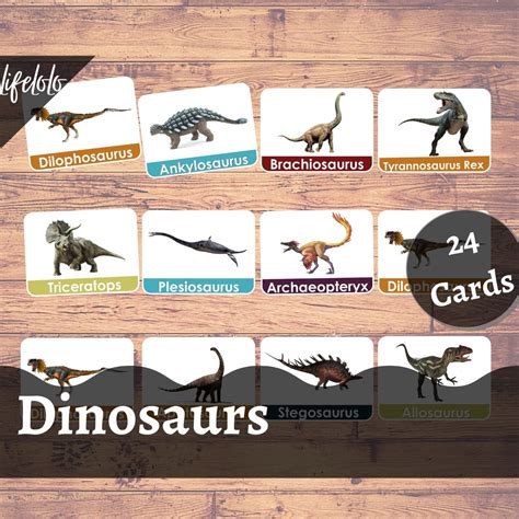Dinosaurs 24 Flash Cards Nomenclature Cards Montessori Materials