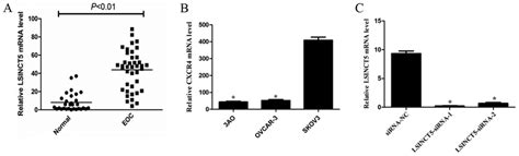 Lsinct5 Expression In Eoc Tissues And Cell Lines A Relative Lsinct5