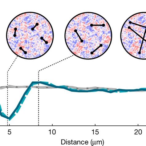 correlation function of fluctuations before and after the download