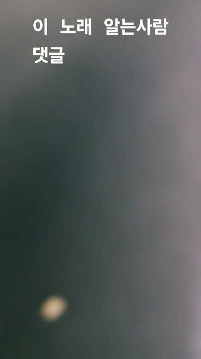 출처거북이아이고 Youtube