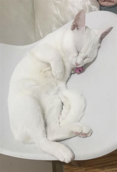 Himbing Ng Tulog Habang Nagwork Ako Rcatsofrph