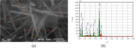 A Sem Image And B Edxs Diffractogram Of The Biosynthesized Cao