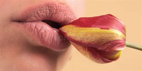 Mouth Sensual Woman Lips Close Up Tender And Seductive Intimate Fantasy Cosmetic Lipgloss
