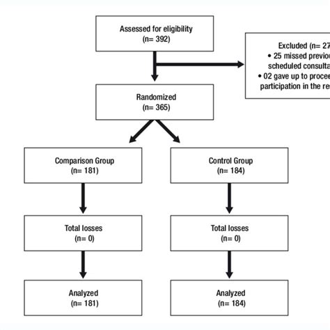 representative flowchart of phases and follow up of participants