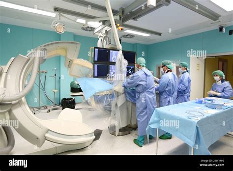 Cerebral Aneurysm Embolization Willis Polygone Angiography Interventional Neuroradiology