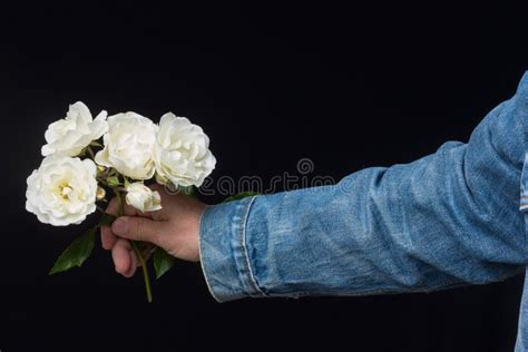 Rosa Es La Flor De La Primavera Ideal Para El Amor Foto De Archivo