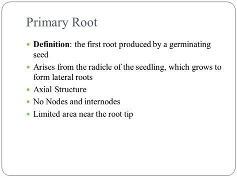Rhizomes Definition