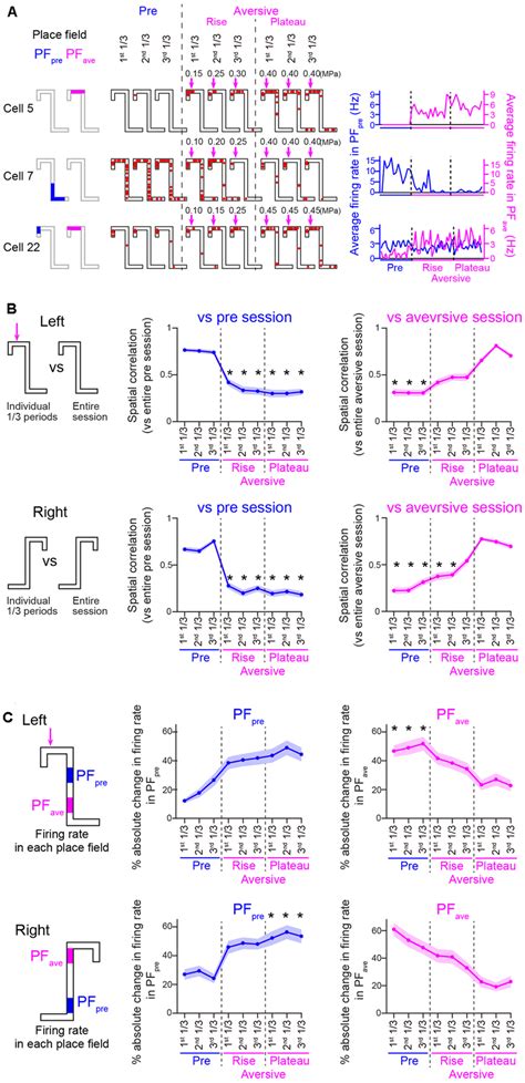 A Spatial Firing Patterns Of Three Representative Cells On Left Download Scientific Diagram