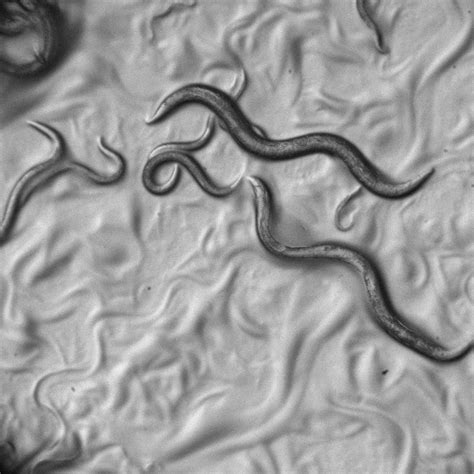 The Value Of Learning New Things Arts Musings Etc