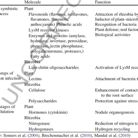 1 Summary Of Main Molecules Involved In The Legume Rhizobia Symbiosis