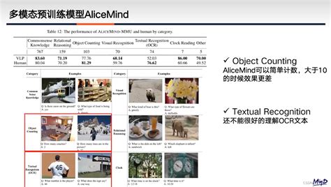 Alicemind Csdn
