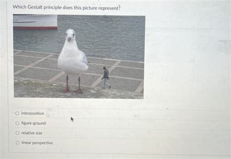 Which Gestalt Principle Does This Picture StudyX
