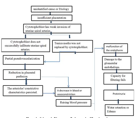 Figure 1 A Comprehensive Review Of Preeclampsia Risk