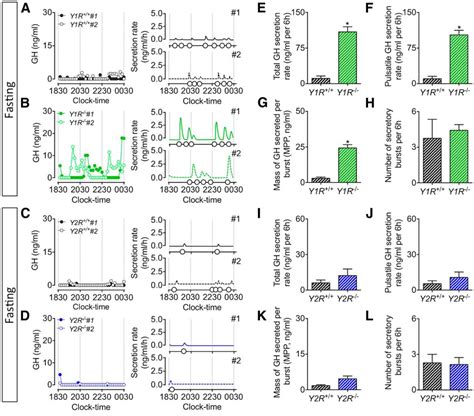 Actions Of NPY And Its Y And Y Receptors On Pulsatile Growth Hormone Secretion During The Fed