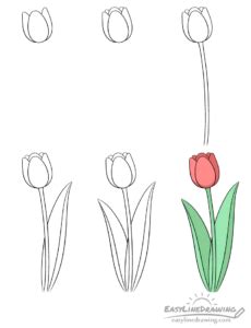 How To Draw A Tulip Step By Step EasyLineDrawing