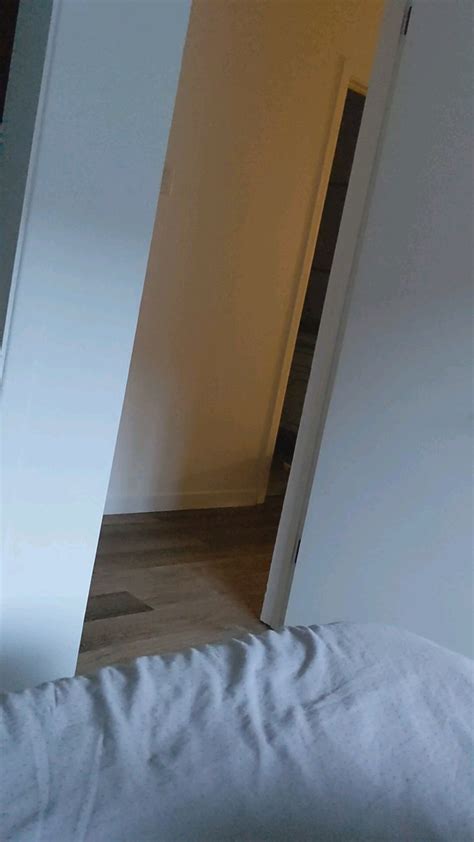 My Cat Love To Play Fetch Oc R Aww