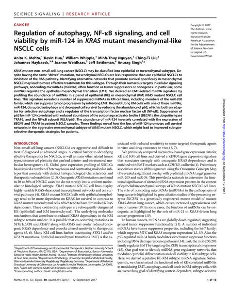 Pdf Regulation Of Autophagy Nf κb Signaling And Cell Viability By