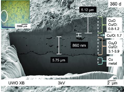 Fib Cut Cross Section Of The Large Patch On The 360 D Exposed Sample Download Scientific