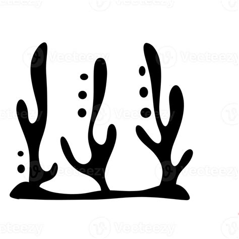 Seagrass Illustration Png 24039420 Png