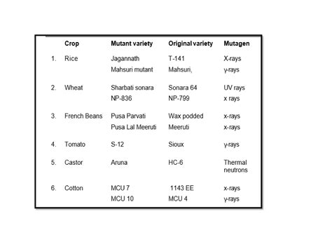 21 Mutation Breeding In Crop Improvement Pptx