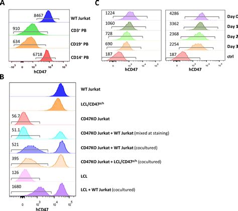 Cd47 Cross Dressing By Extracellular Vesicles Expressing Cd47 Inhibits