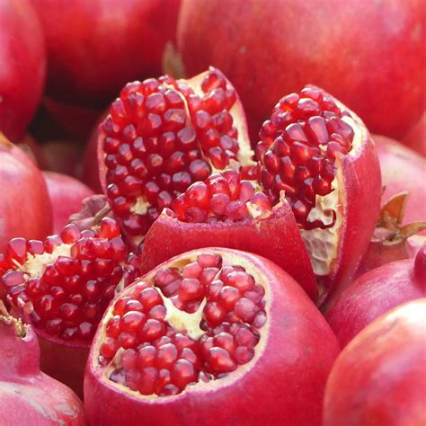 Pomegranate Extract Water Soluble Propanediol Hiya India