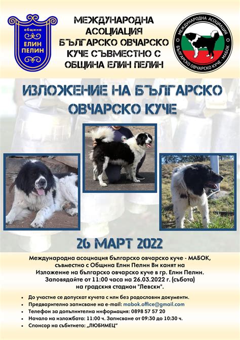 🚩 Meждународна асоциация българско Община Елин Пелин Facebook