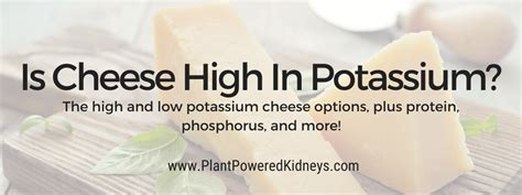 Is Cheese High In Potassium Protein Phosphorus And More