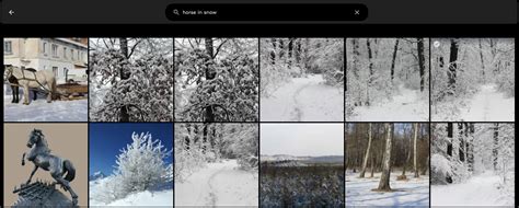 V1510 · Immich App Immich · Discussion 2025 · Github