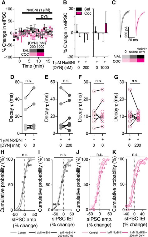 The Effects Of Dynorphin Are Mediated By Kors All Experiments Were