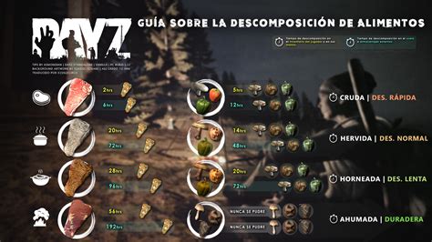 Guía Definitiva De Dayz Todo Lo Que Necesitas Saber Steam Solo