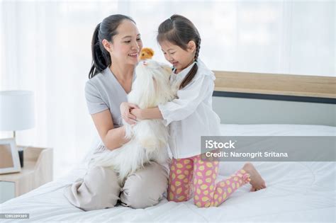 작은 아시아 소녀 놀이 와 화이트 개 과 앉아 그녀의 어머니 근처 에 치료 에 돌봐 에 침대 방 2명에 대한 스톡 사진 및 기타