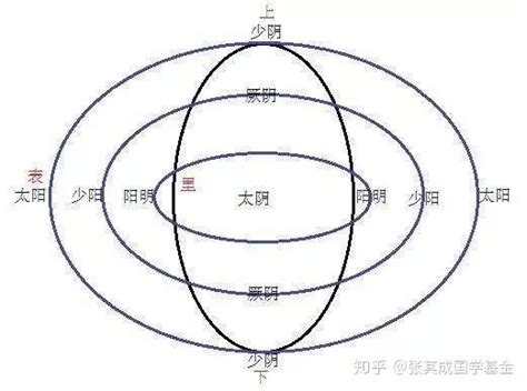 《黄帝内经》：三阴三阳有什么秘密？ 知乎