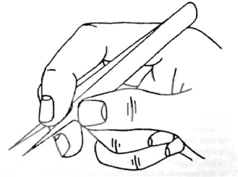 2 Cushioning The Pressure Applied To A Specimen When Using Watchmakers