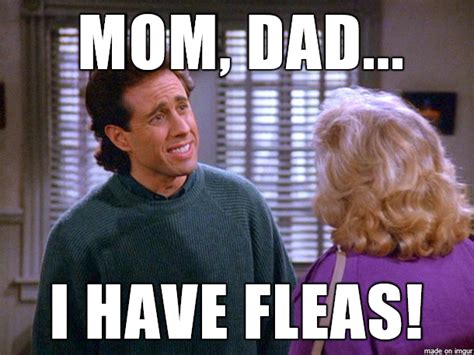 Seinfeld Mom Dad I Have Fleas Meme On Imgur