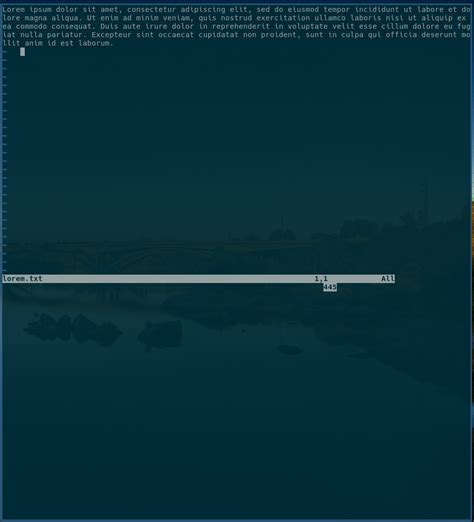 On Opening Neovim In A New Window In I Only About Half Of The Window