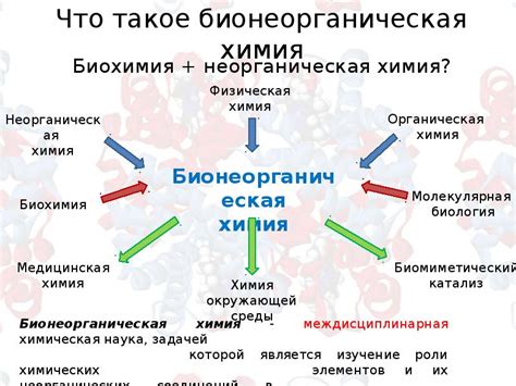Бионеорганическая химия. Особенности биохимический процессов. (Лекция 1)