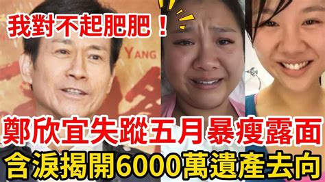 鄭欣宜失蹤5月終於找到！瘦到脱相！鄭少秋崩潰大喊：對不起肥肥！巨額遺產被偷走真相驚人 鄭少秋鄭欣宜肥肥 Youtube