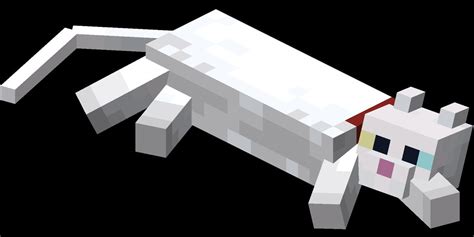 Cat Dibujos Molones Dibujos Cosas Minecraft
