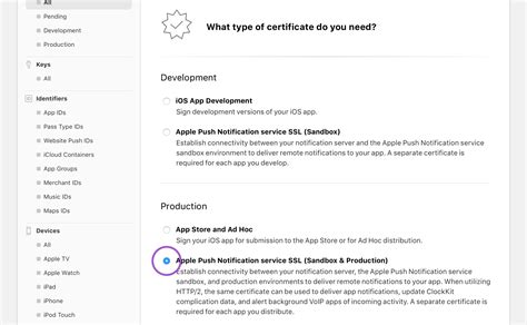 APNS Setup Rover Documentation