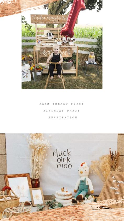 Farm Themed First Birthday Artofit