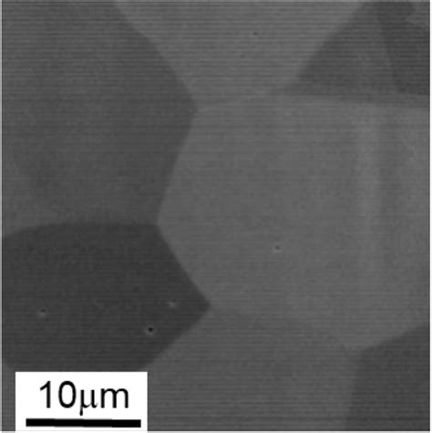 Sem Micrograph Taken From Microstructure Of The Initial Material Download Scientific Diagram
